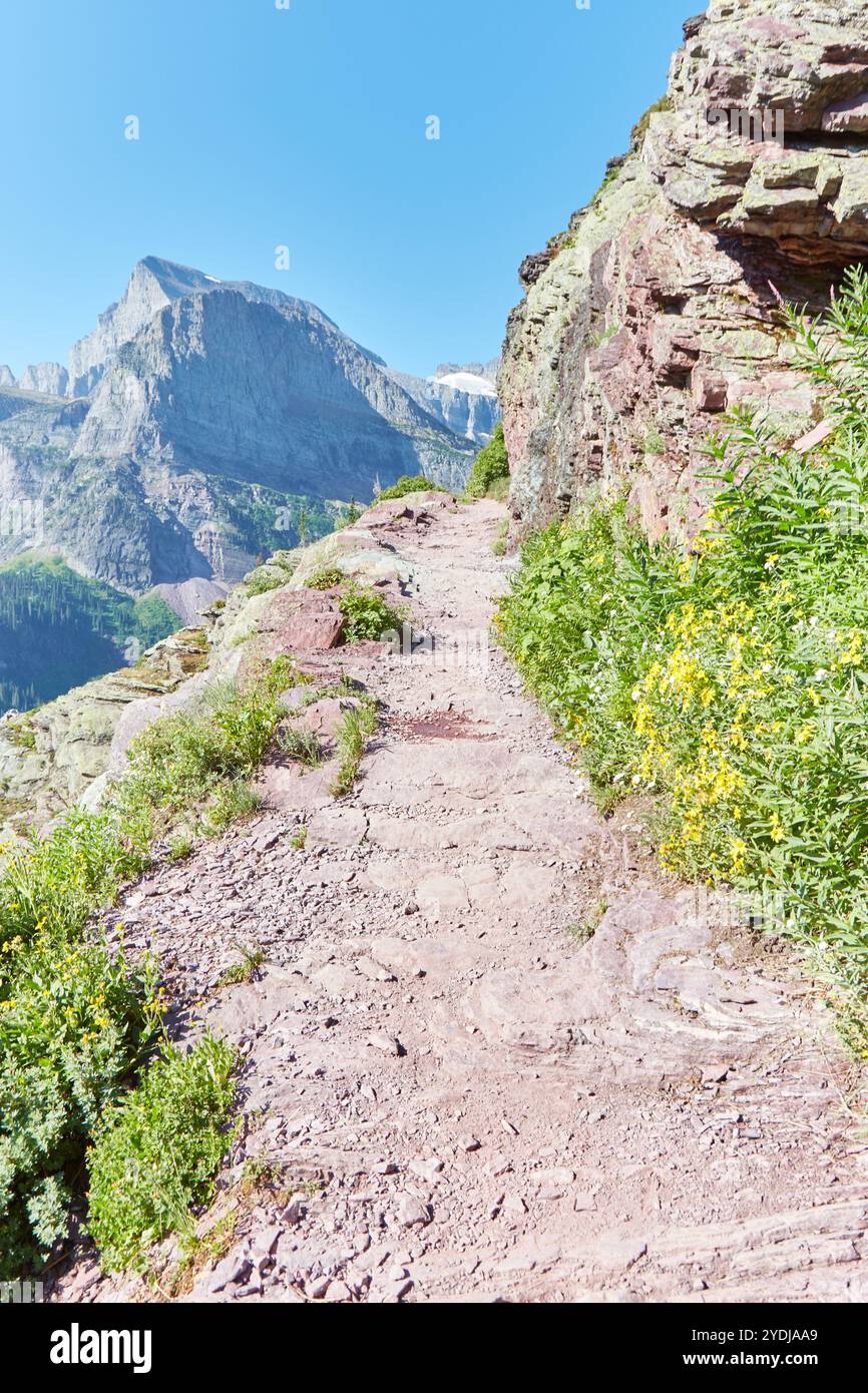 Throughout the Grinnell Glacier hike, you'll encounter views of ...