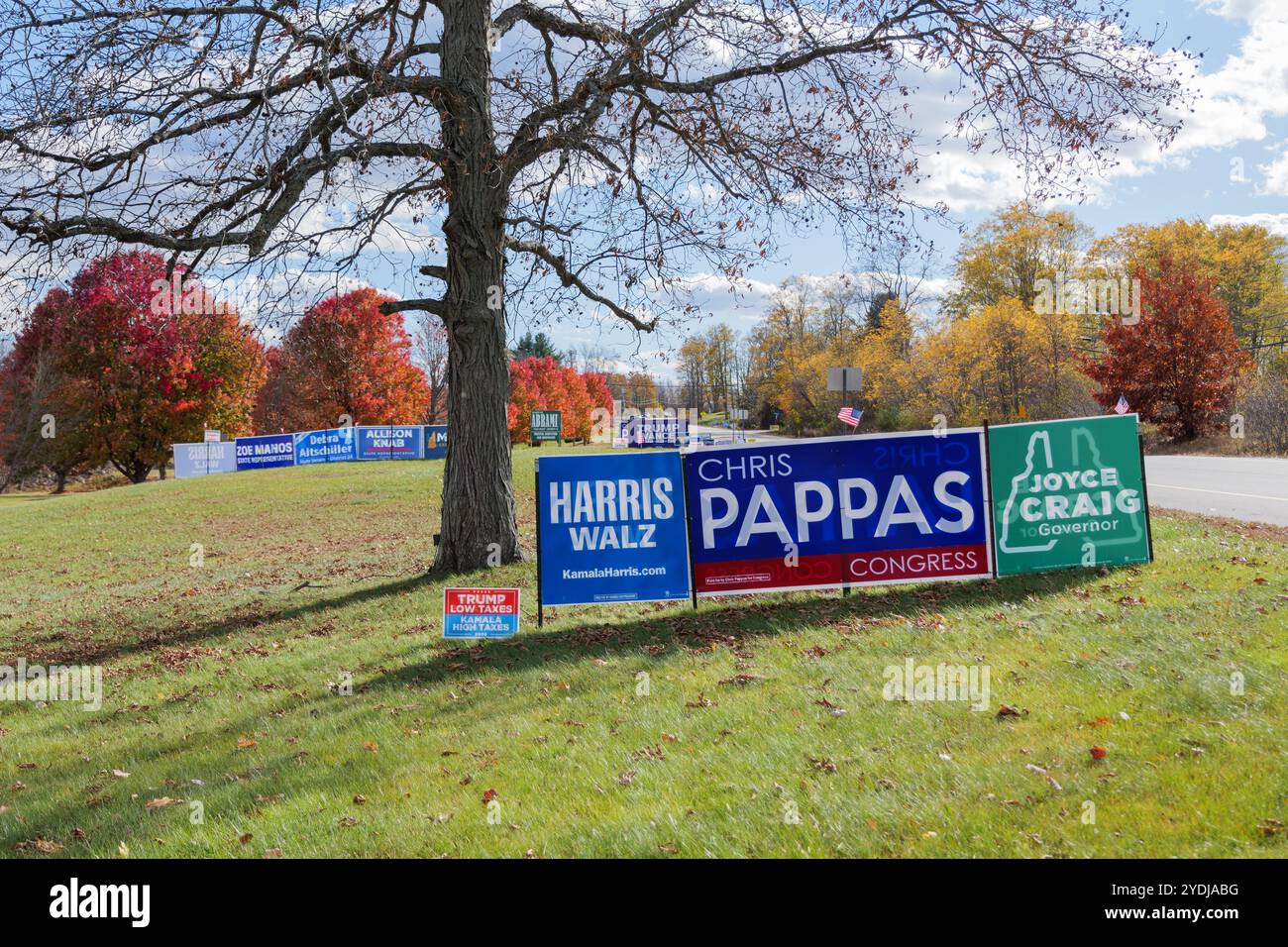 Political signs for the 2024 Presidential election on a sunny fall day ...