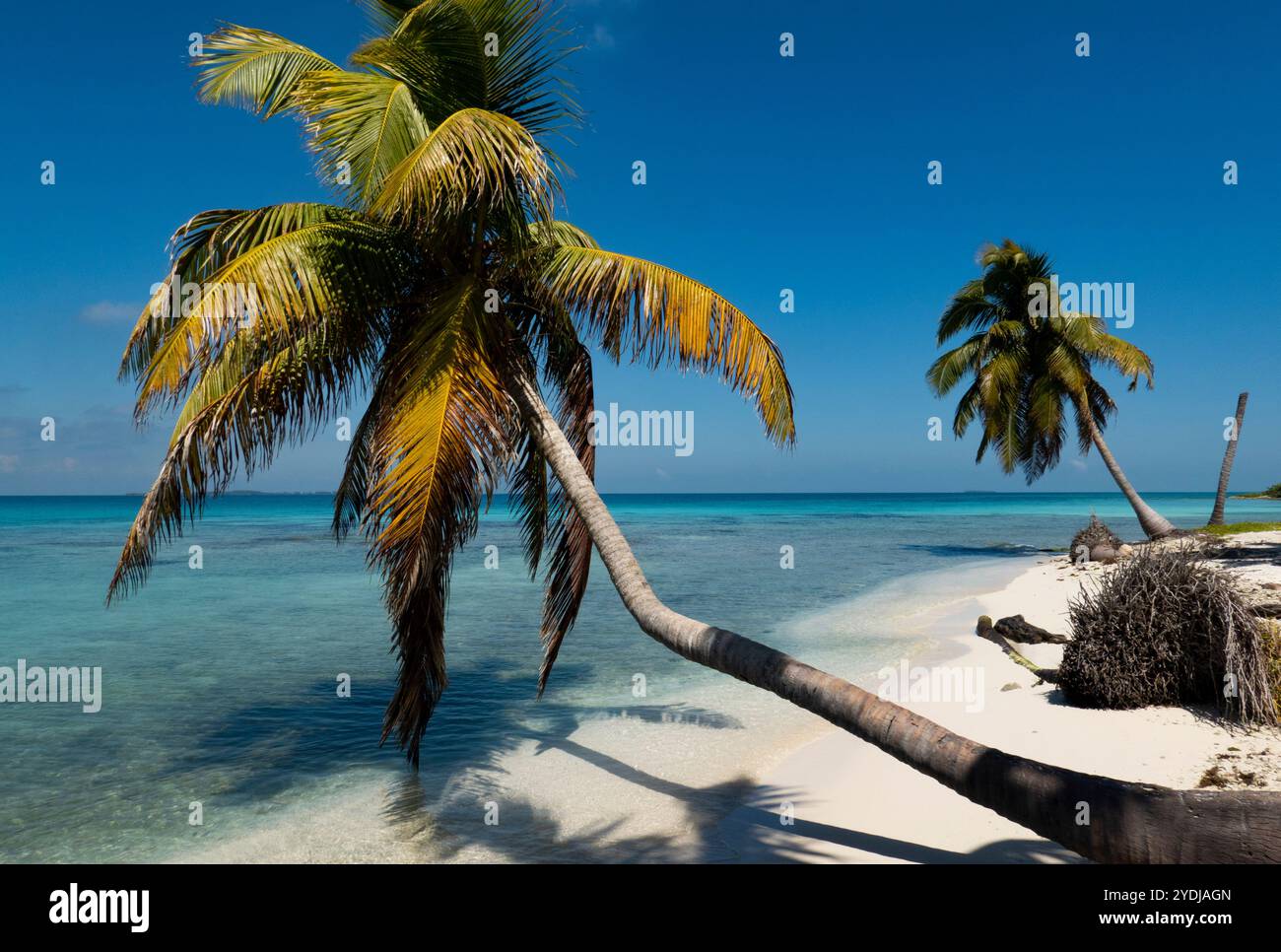 Laughing Bird Caye National Park in Belize, Central America Stock Photo ...