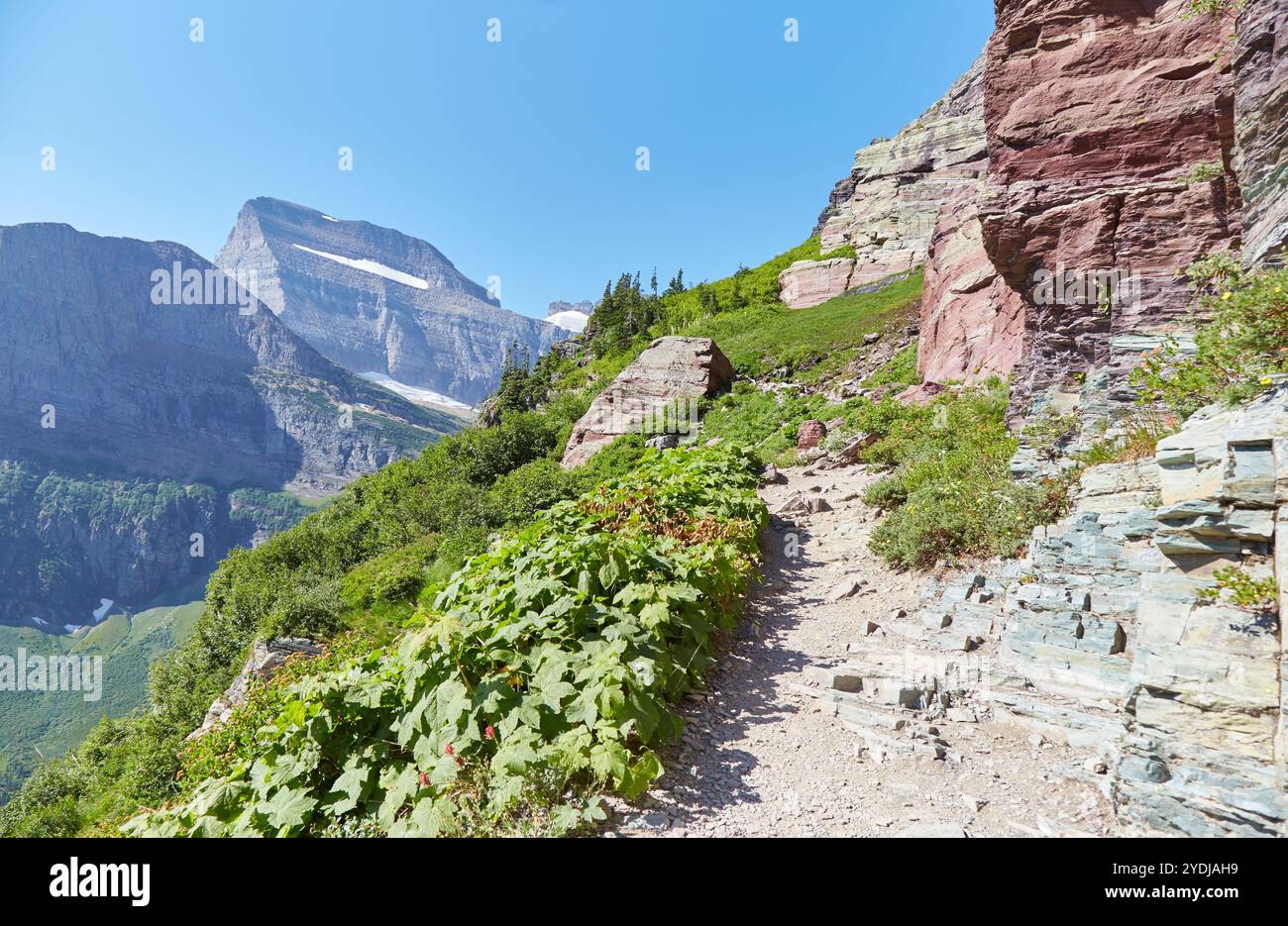 Throughout the Grinnell Glacier hike, you'll encounter views of ...
