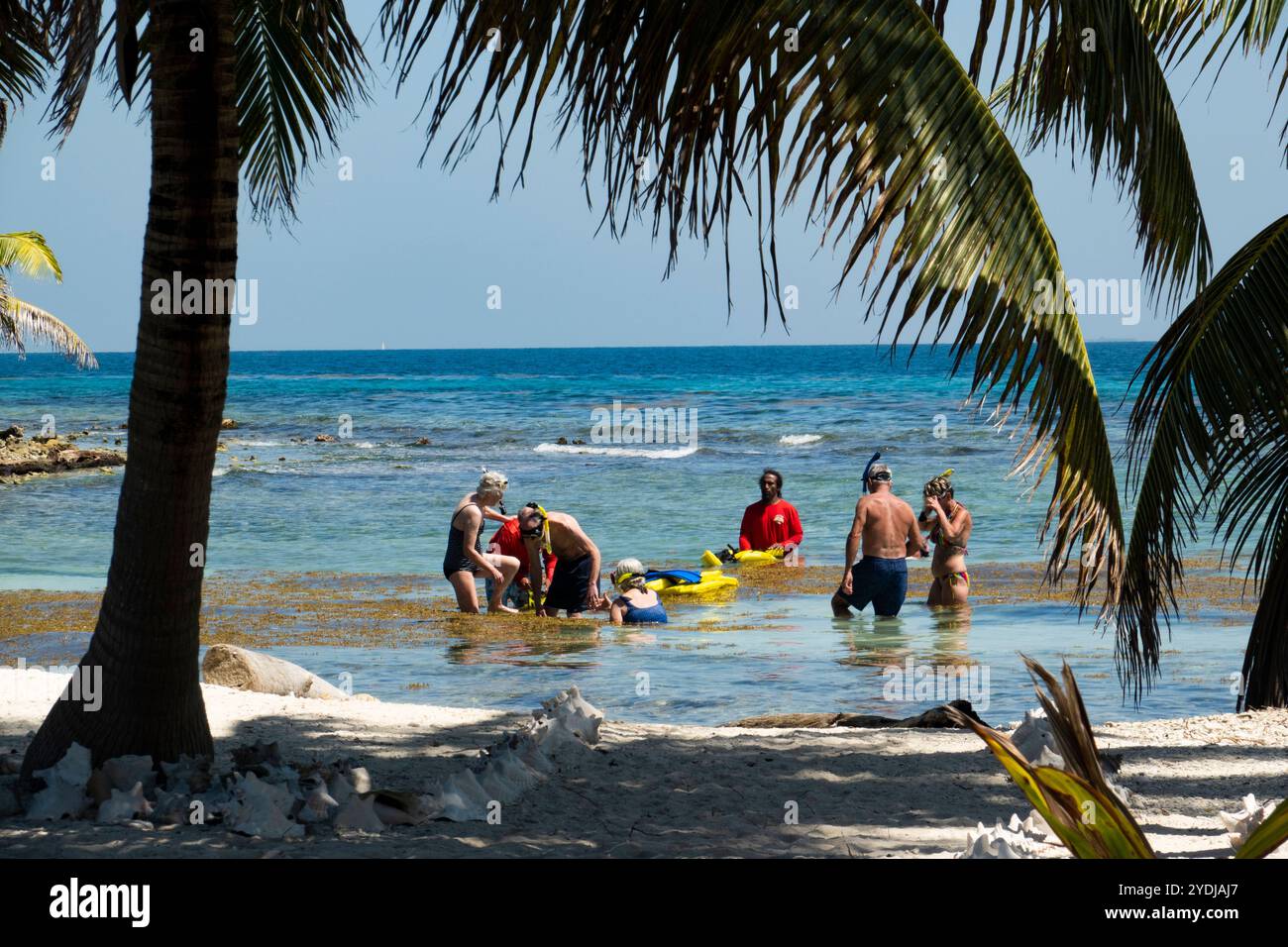 Laughing Bird Caye National Park in Belize, Central America Stock Photo ...