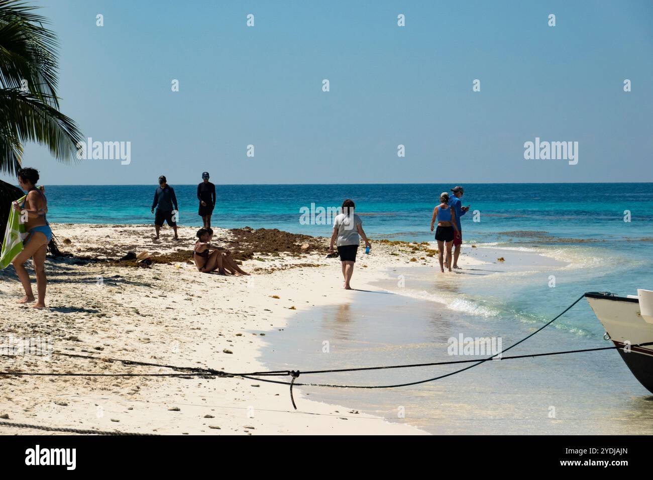 Laughing Bird Caye National Park in Belize, Central America Stock Photo ...