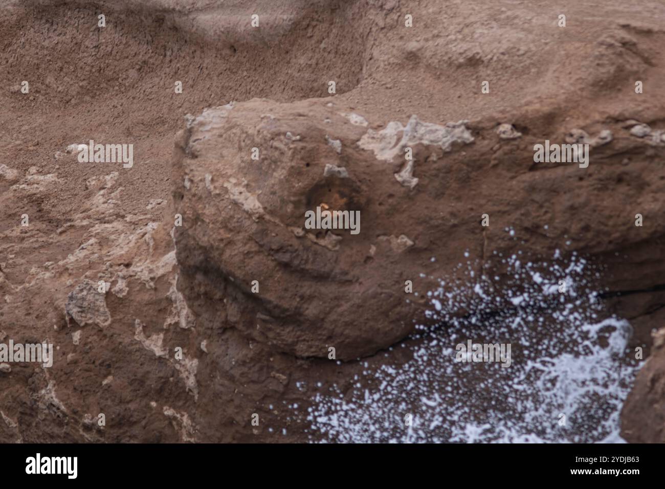 Rock with turtle shape , near the seashore Stock Photo - Alamy