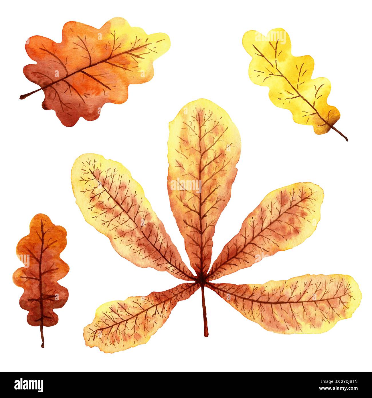 Autumn leaves pattern. Hand-painted watercolor. A set of yellow, brown ...