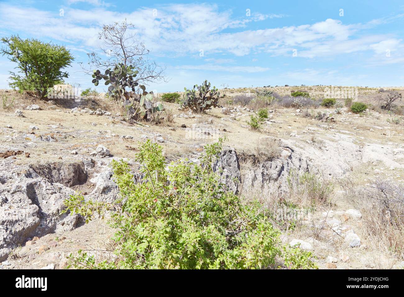 Occupied from around 540-1050 AD by the Otomi civilization, Canada de ...