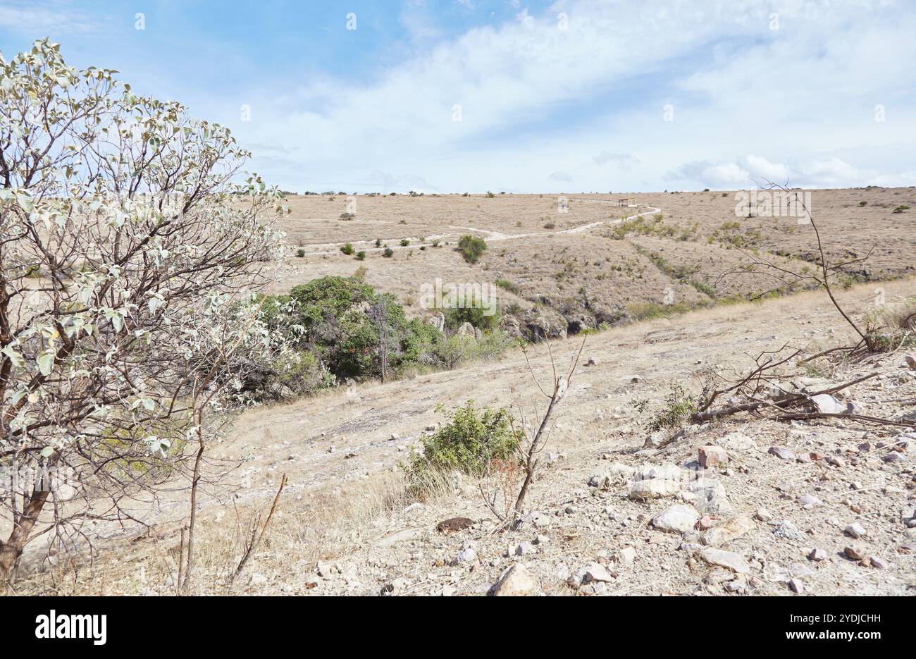 Occupied from around 540-1050 AD by the Otomi civilization, Canada de ...