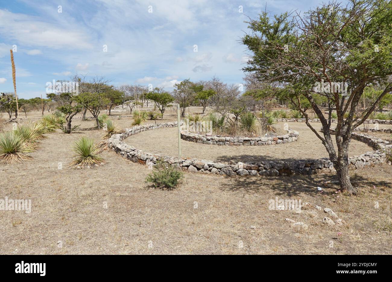 Occupied from around 540-1050 AD by the Otomi civilization, Canada de ...