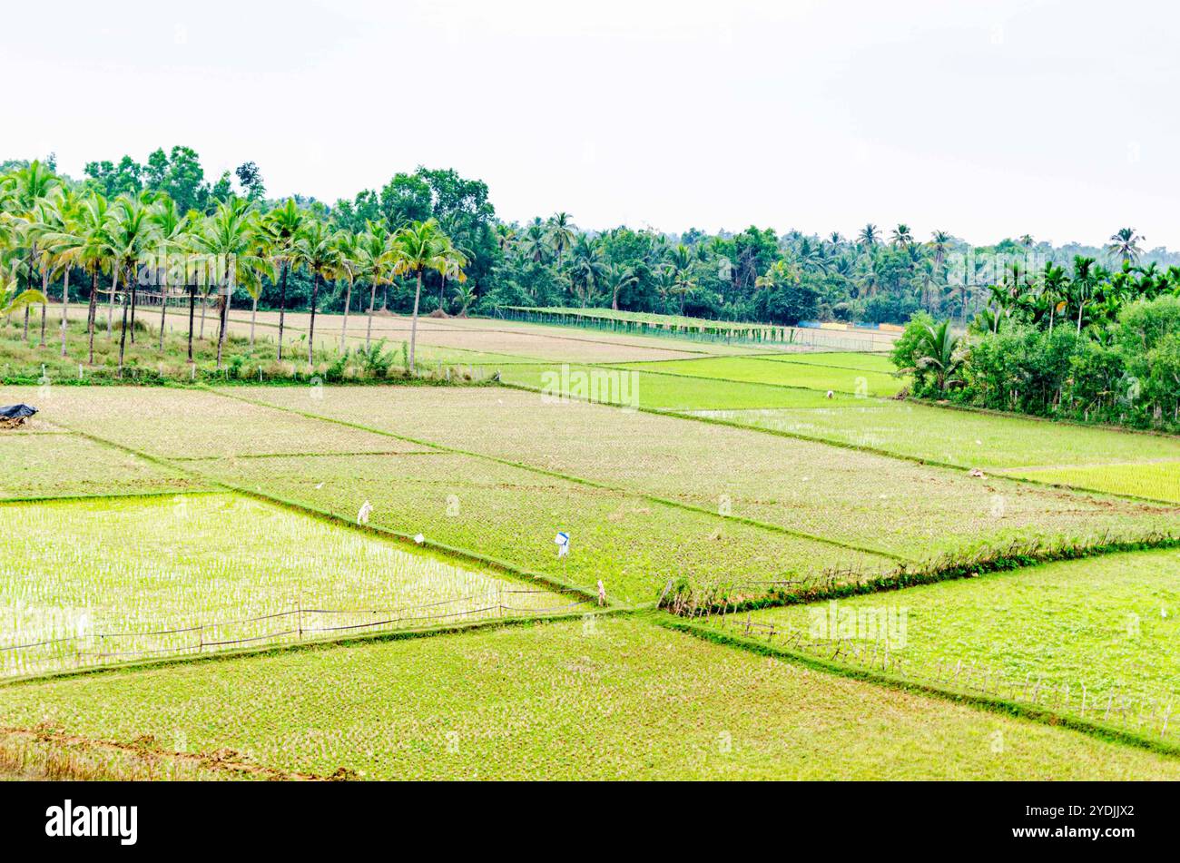 Beautiful landscape of rural India along the Konkan Railway route from ...