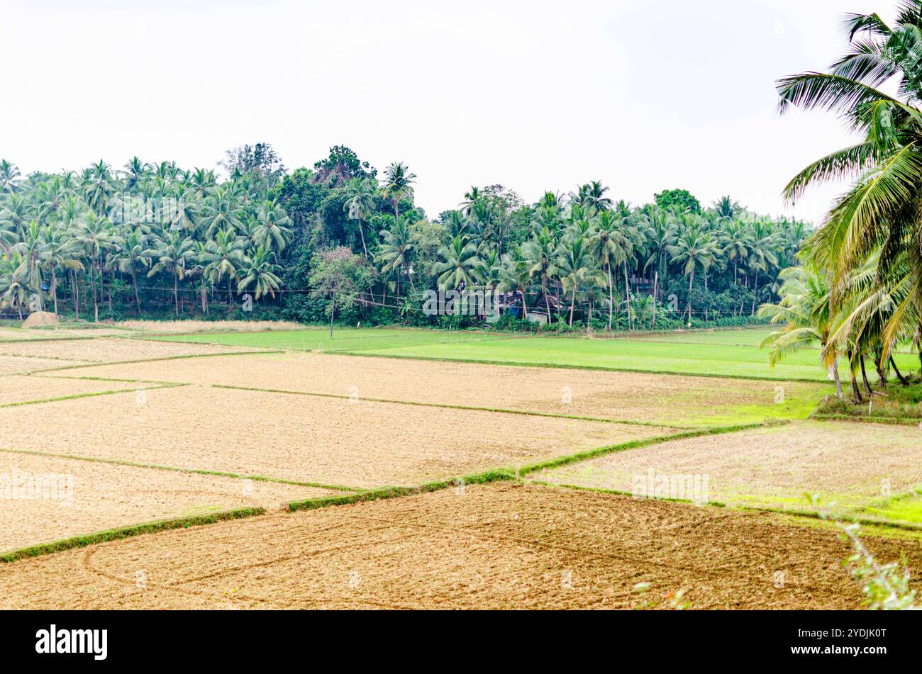 Beautiful landscape of rural India along the Konkan Railway route from ...
