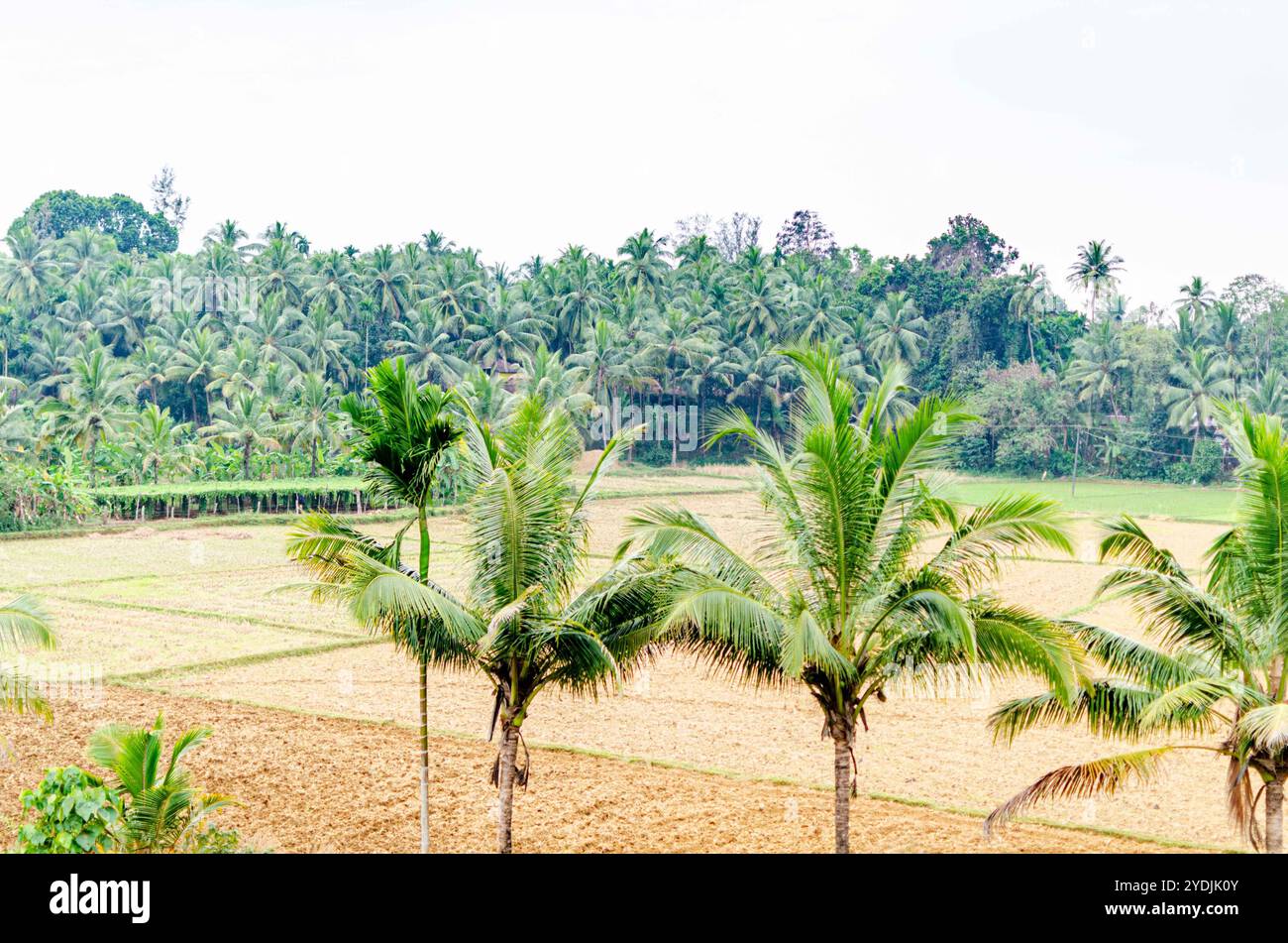 Beautiful landscape of rural India along the Konkan Railway route from ...