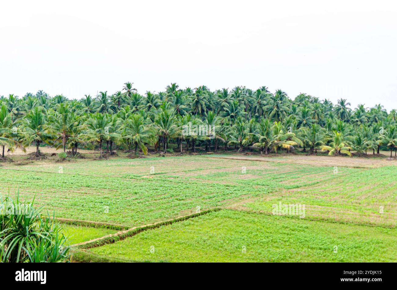 Beautiful landscape of rural India along the Konkan Railway route from ...