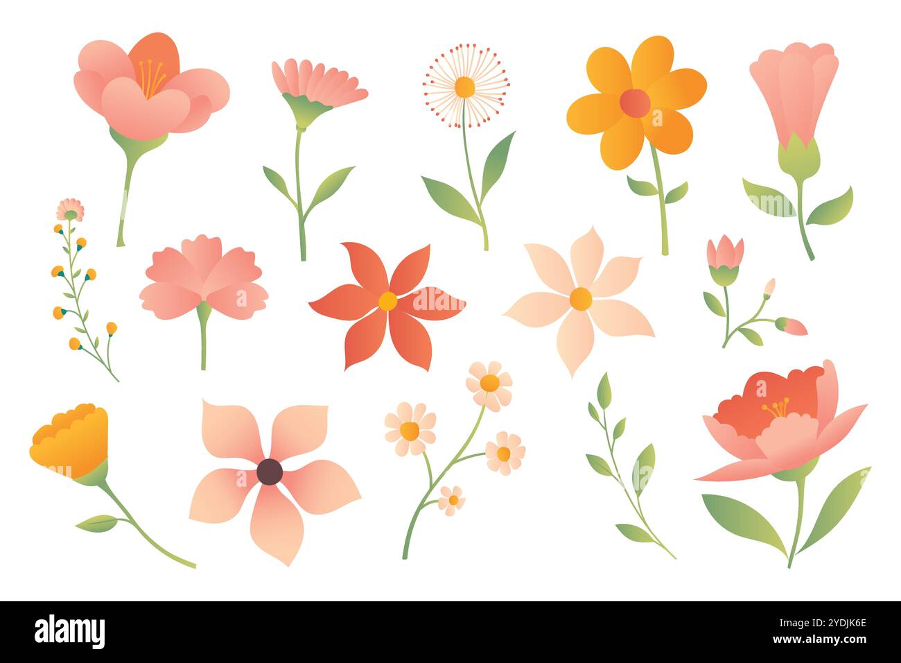 Vibrant and colorful vector flowers collection with petals and leaves ...