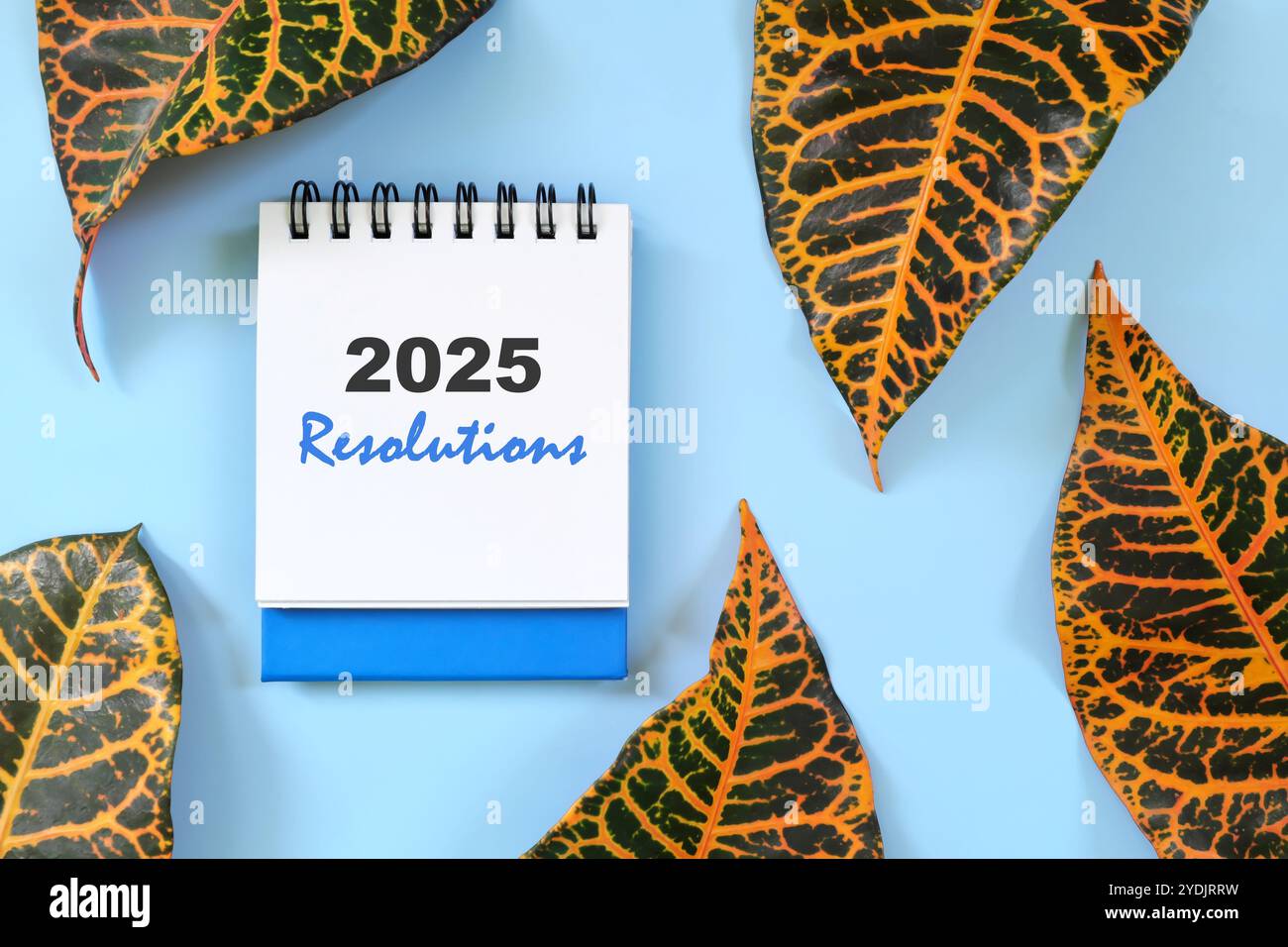 New year 2025 life goal, resolution and priorities concept. Flat lay ...