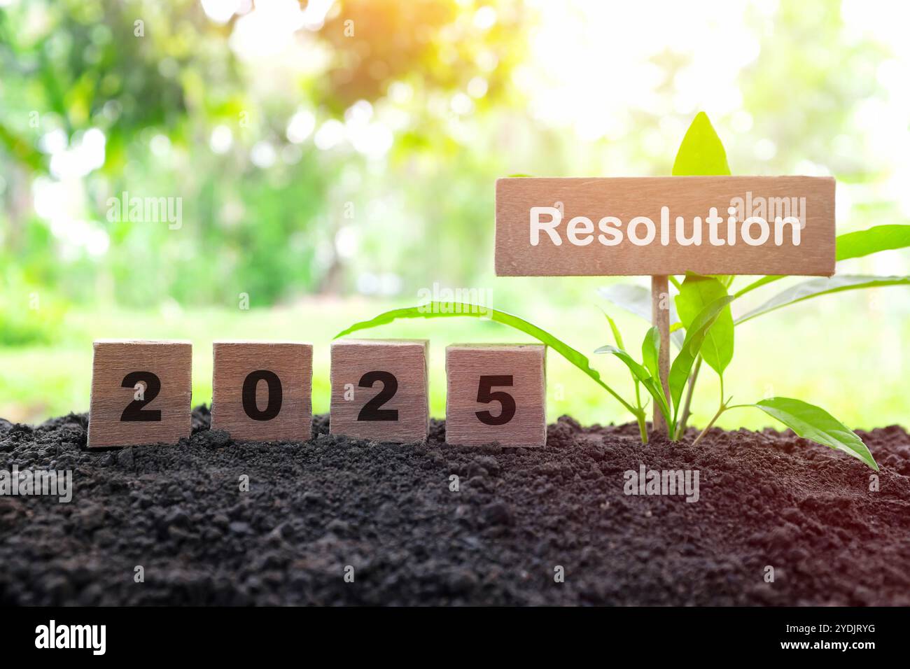 New year 2025 life goal, resolution and priorities concept. Wooden ...