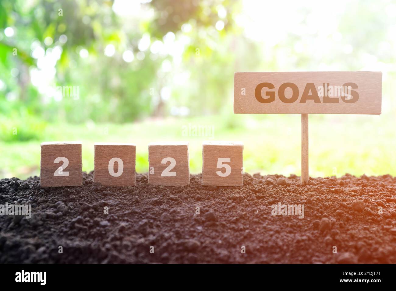 New year 2025 life goal, resolution and priorities concept. Wooden ...