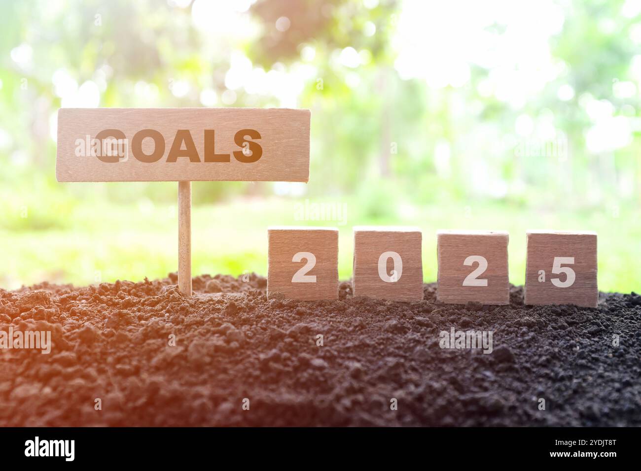 New year 2025 life goal, resolution and priorities concept. Wooden ...