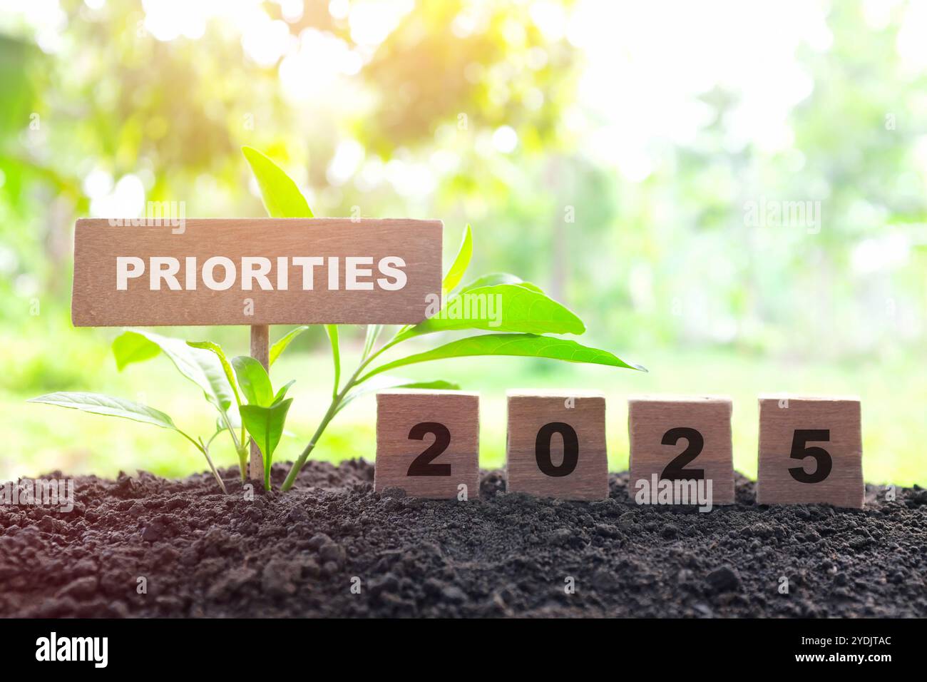 New year 2025 life goal, resolution and priorities concept. Wooden ...