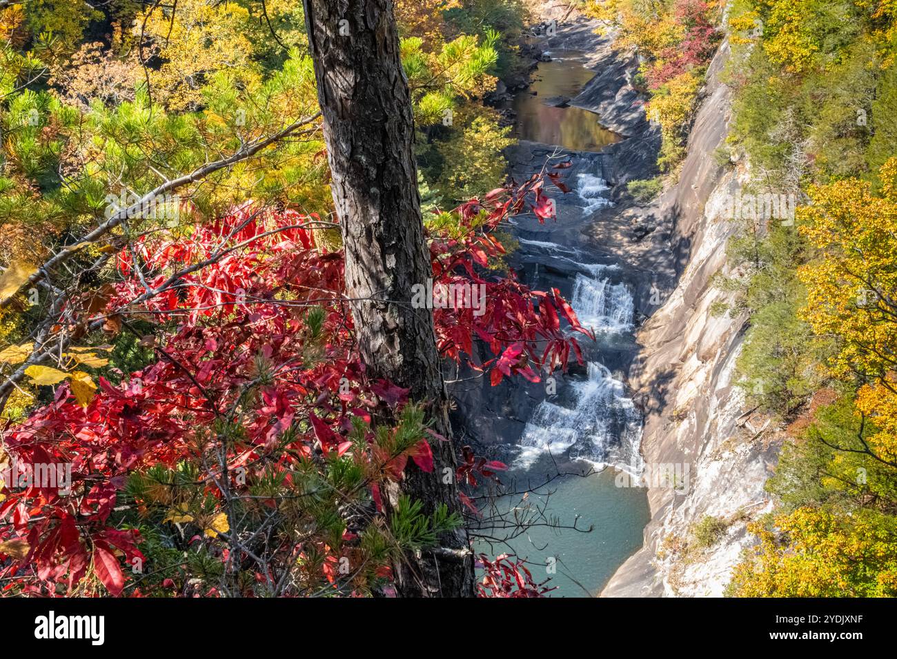 Tallulah Gorge State Park scenic overlook view of L'eau d'Or Falls and ...
