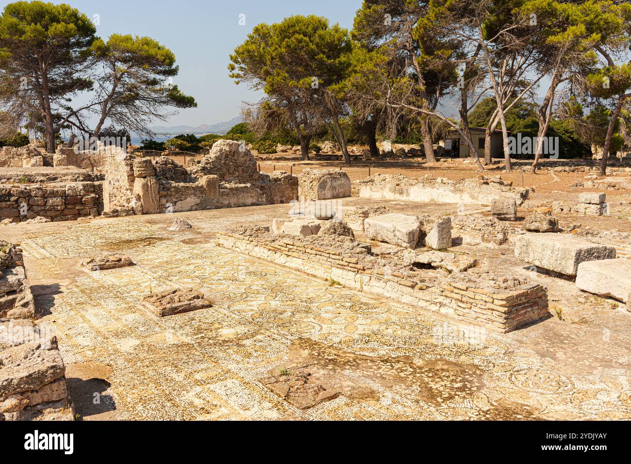 Mosaics in the Ancient Phoenician city of Nora Stock Photo - Alamy