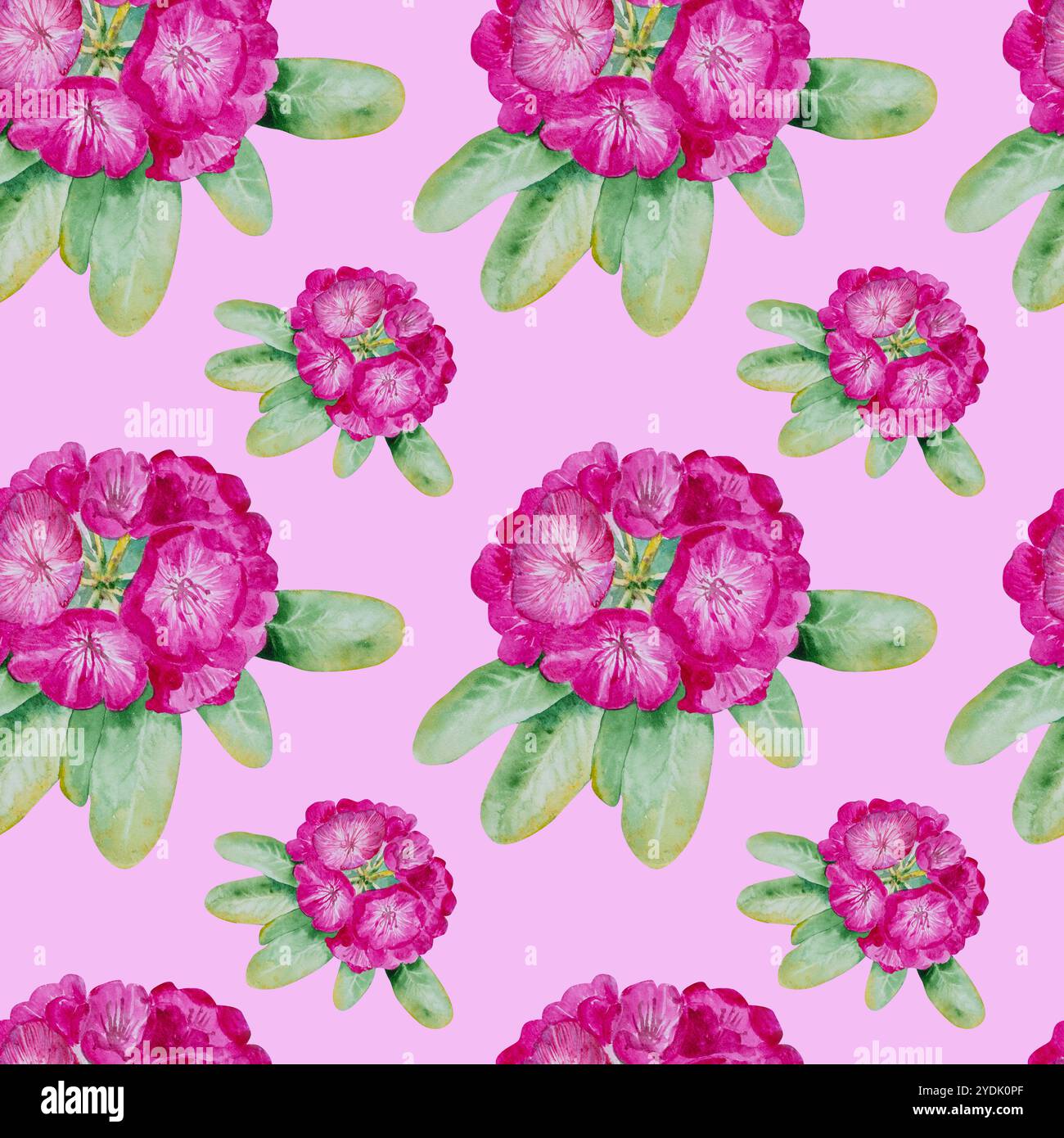 Watercolor illustrations seamless pattern with pink rhododendron ...