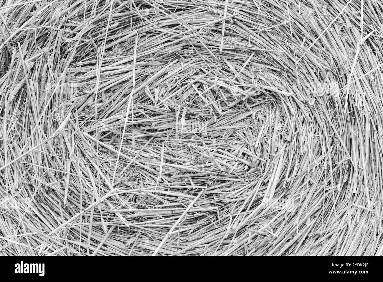 Stack dry hay. Hay texture. Hay bale is stacked in large stack. rural ...