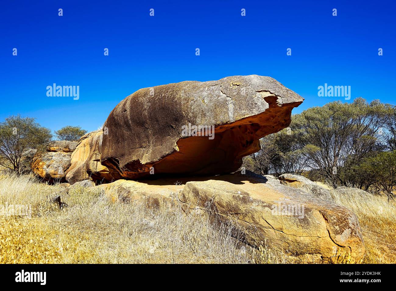 Sharks rock hi-res stock photography and images - Alamy