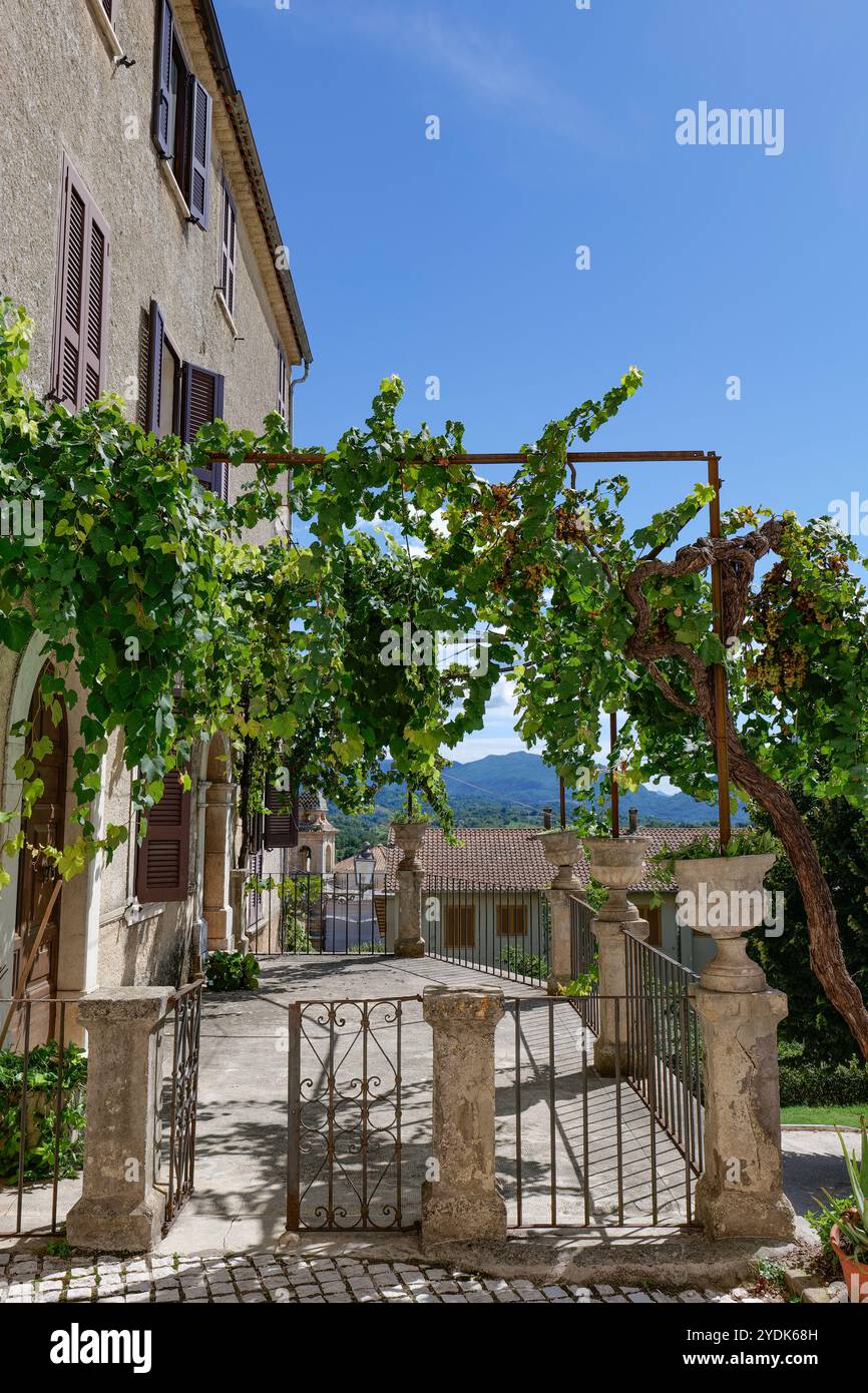 A small garden in front of an old house in Alvito, a medieval village ...
