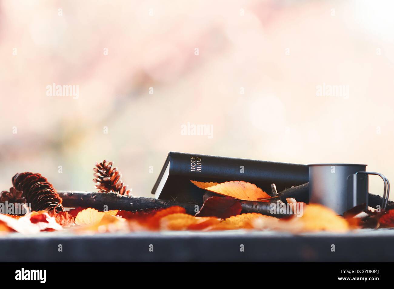 Autumn background with red maple leaves, fallen leaves and holy bible ...