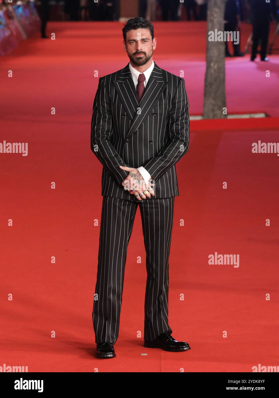 Roma Cinema Fest 2024. Rome Film Fest. Red carpet film "Modi - Three ...