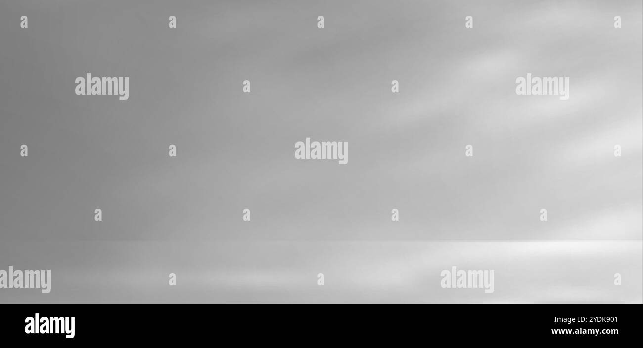 White studio with leaves shadow and sun light background. 3d gray room ...