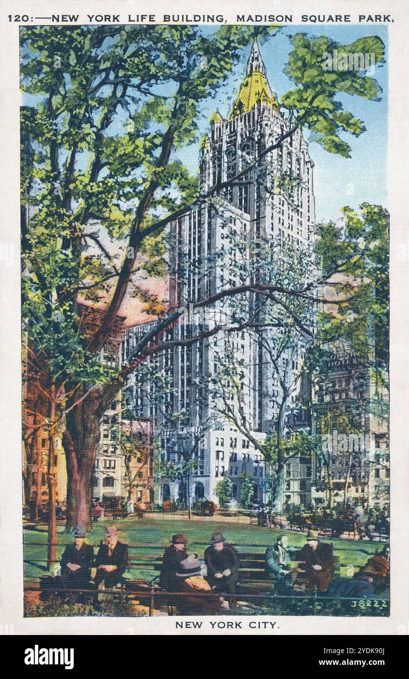 Vintage U.S. postcard of the New York Life Building from Madison Square ...