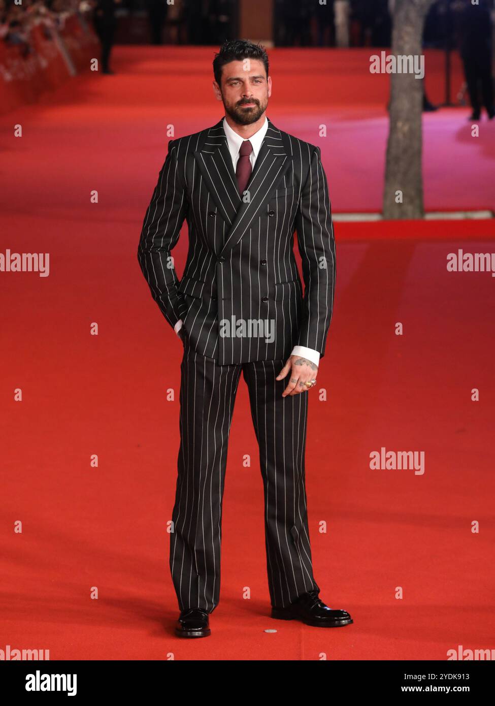 Roma Cinema Fest 2024. Rome Film Fest. Red carpet film "Modi - Three ...