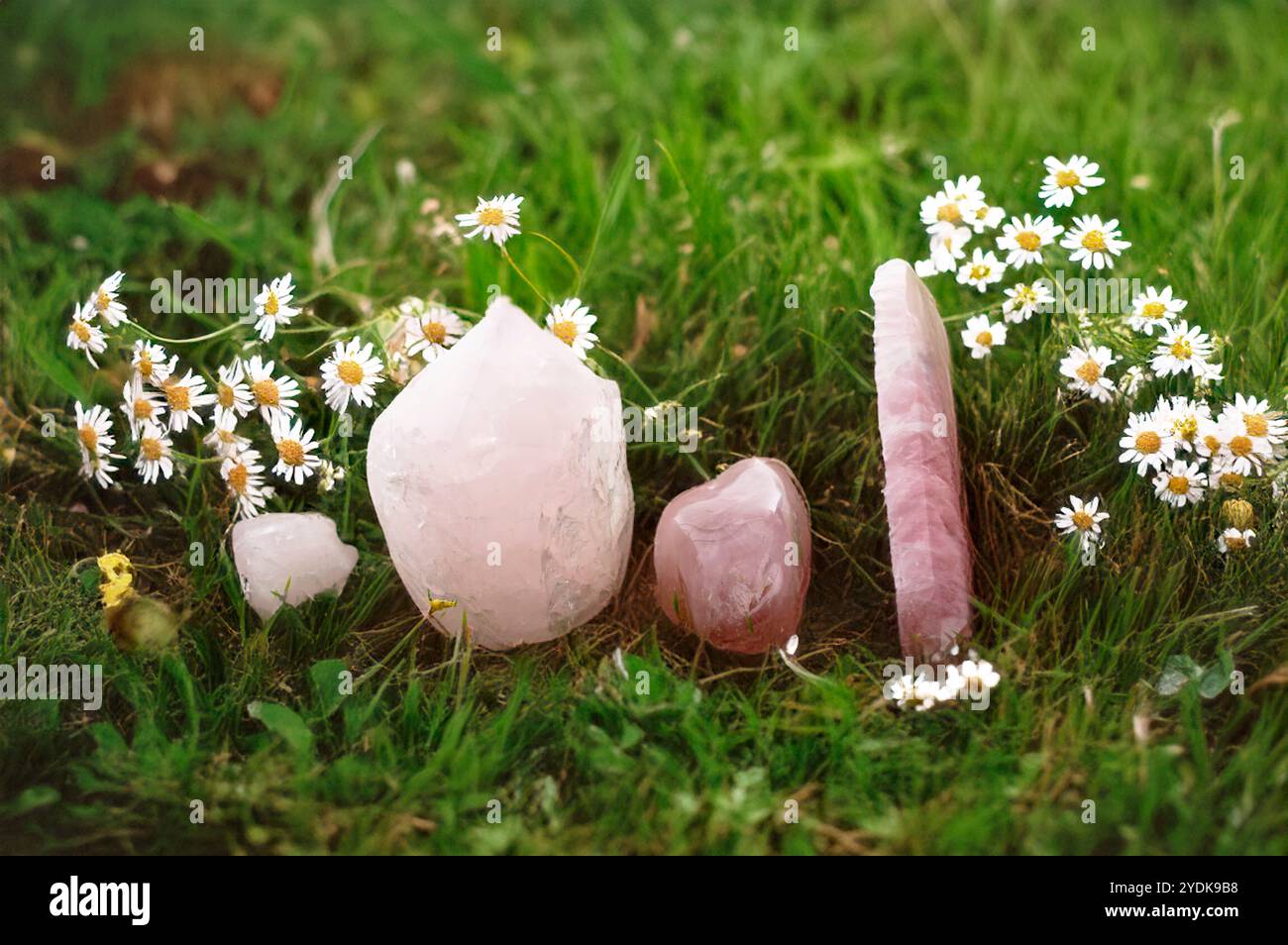 Rose quartz wand hi-res stock photography and images - Alamy