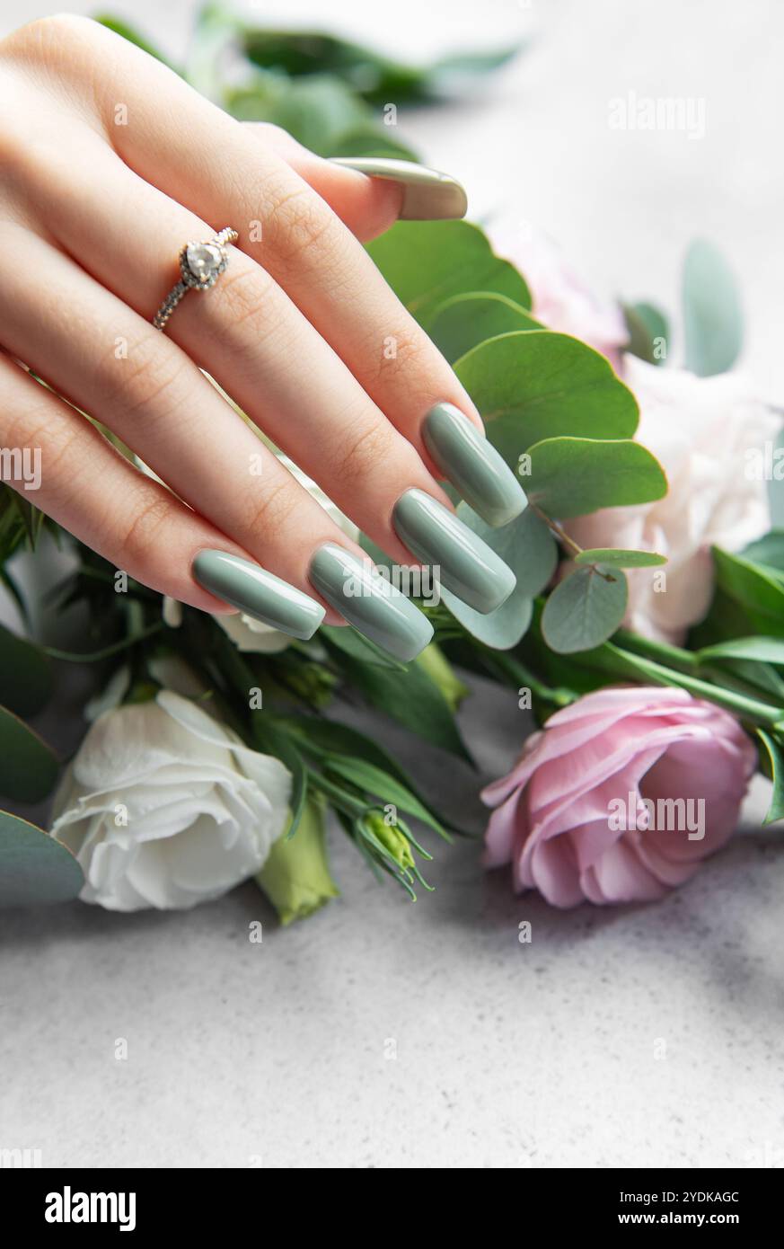 Green eucalyptus leaves in hi-res stock photography and images - Alamy