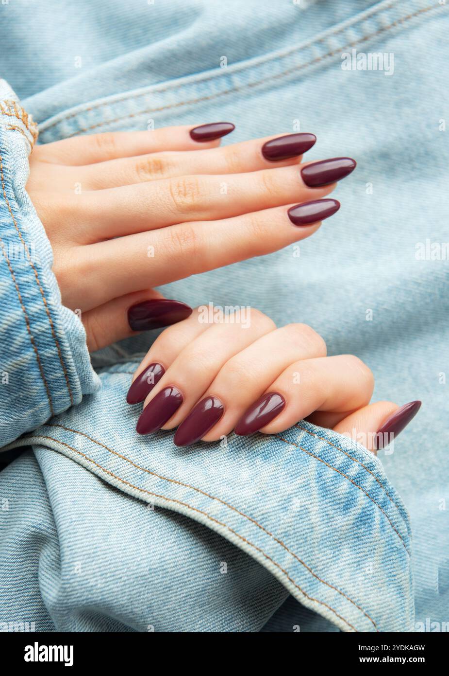Two hands with stylishly shaped nails painted in rich burgundy are ...