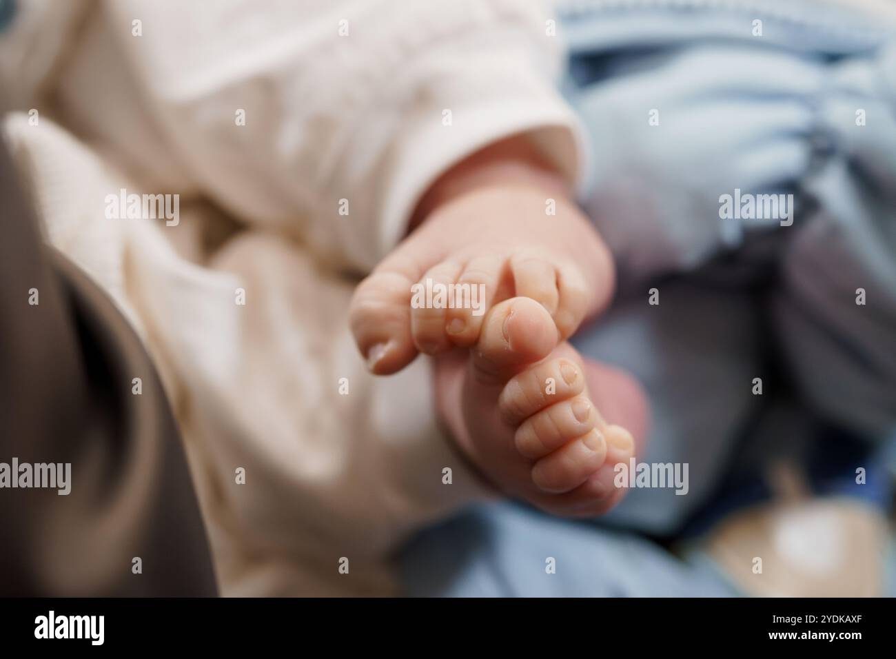 Infant's Tiny Feet Captured in Natural Light Stock Photo - Alamy