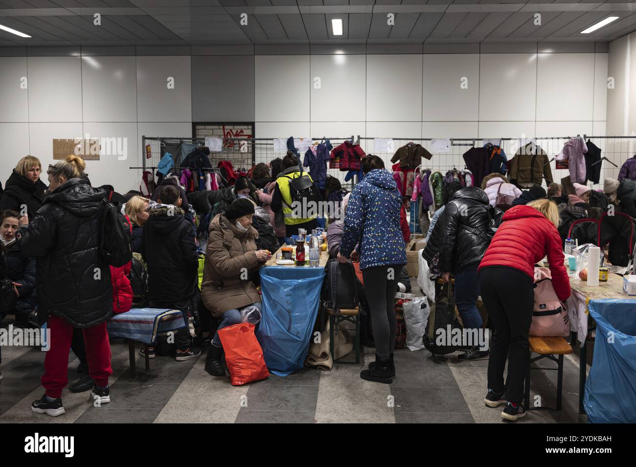 Refugee fled conflict from hi-res stock photography and images - Alamy