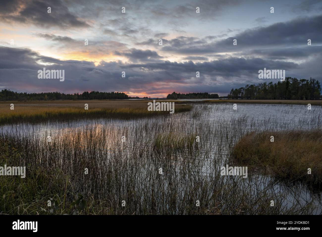 Sunset, lakes and moorland, Lapland, Finland, Europe Stock Photo - Alamy