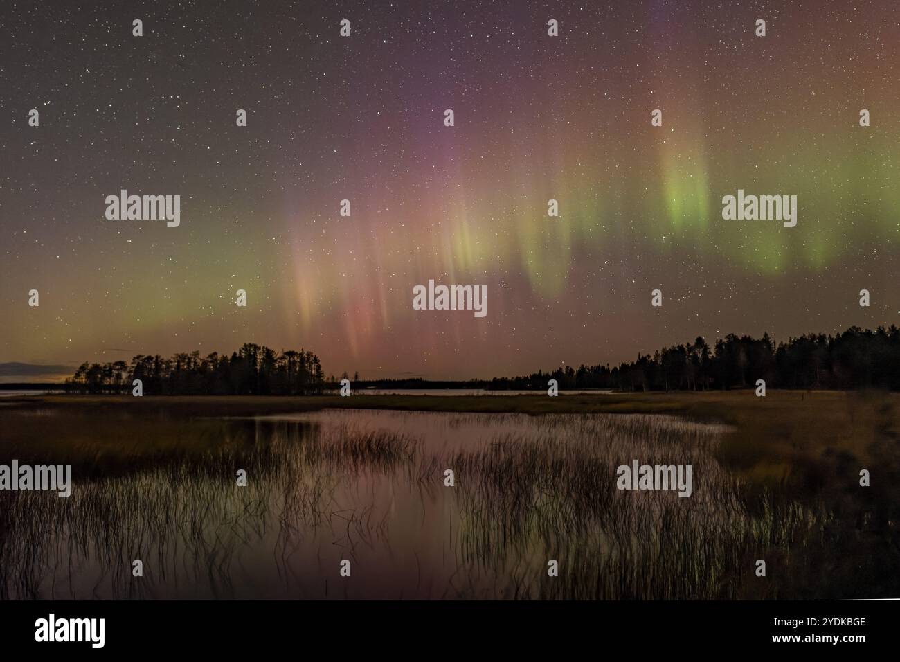 Aurora Borealis, Northern Lights or Aurora Borealis, Lake, Finland ...