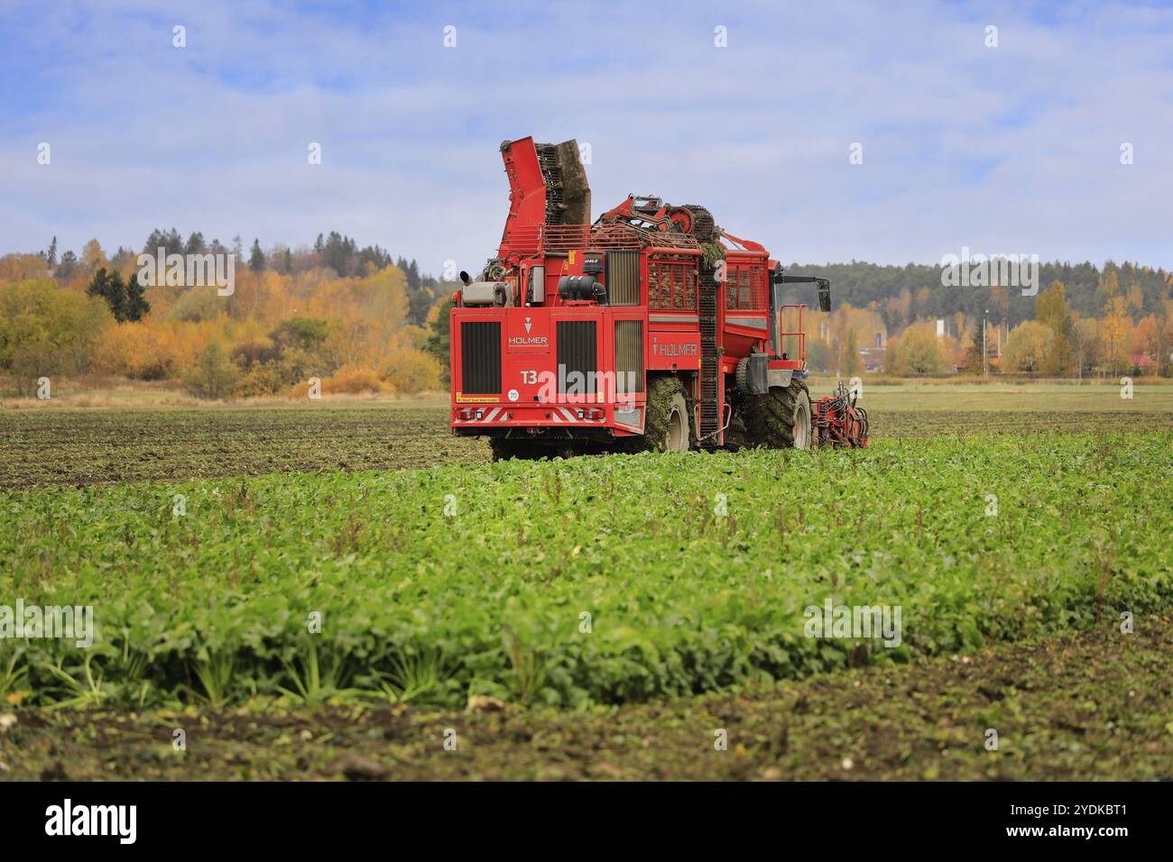 Beta dos hi-res stock photography and images - Alamy