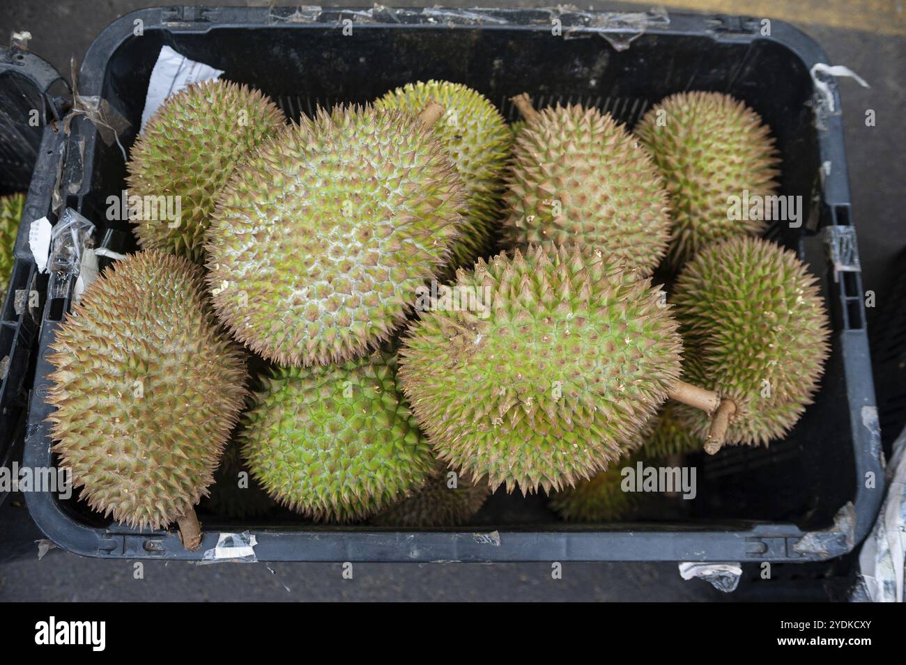 24.02.2019, Singapore, Republic of Singapore, Asia, A box of fresh ...