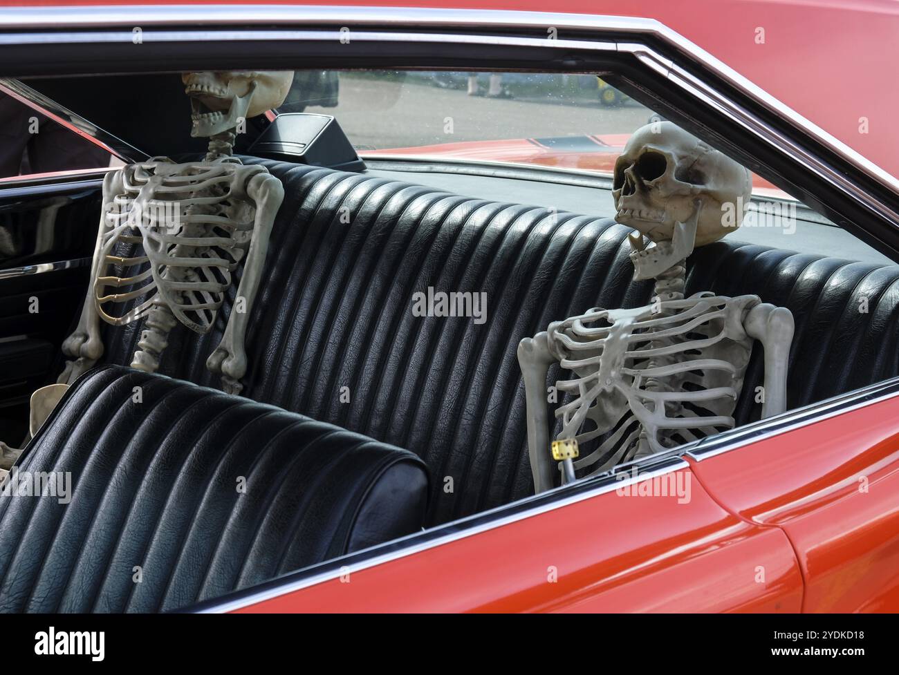 American classic car, detail, view into the window, two skeletons on ...