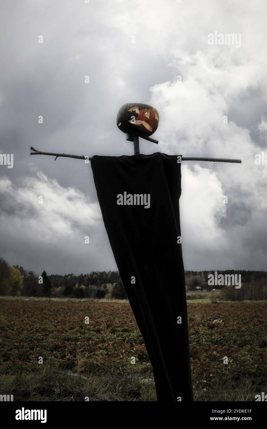 Halloween scarecrow with pumpkin head and black cape in field, dramatic ...