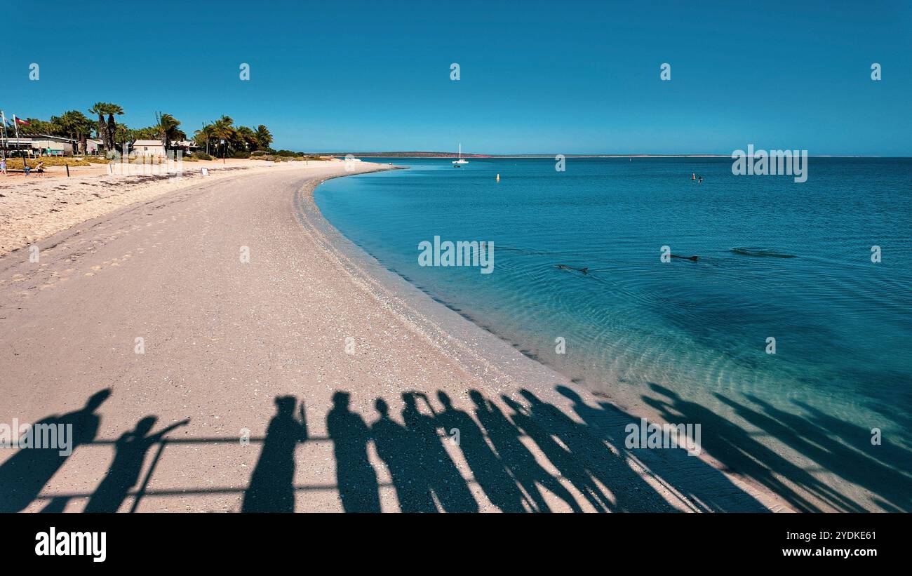 Marine shadows hi-res stock photography and images - Alamy