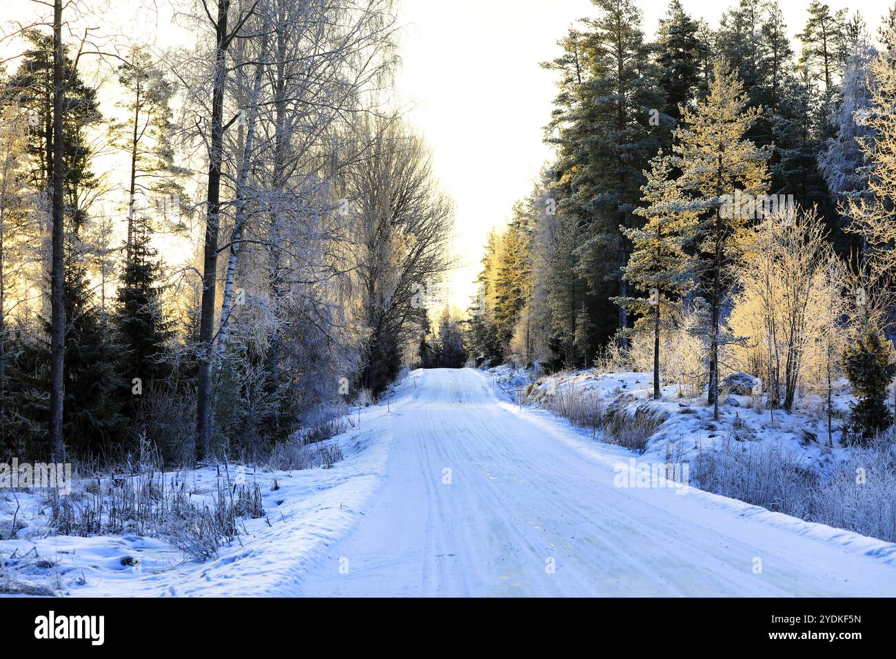Snowy and icy rural road at sunrise on a cold December morning Stock ...