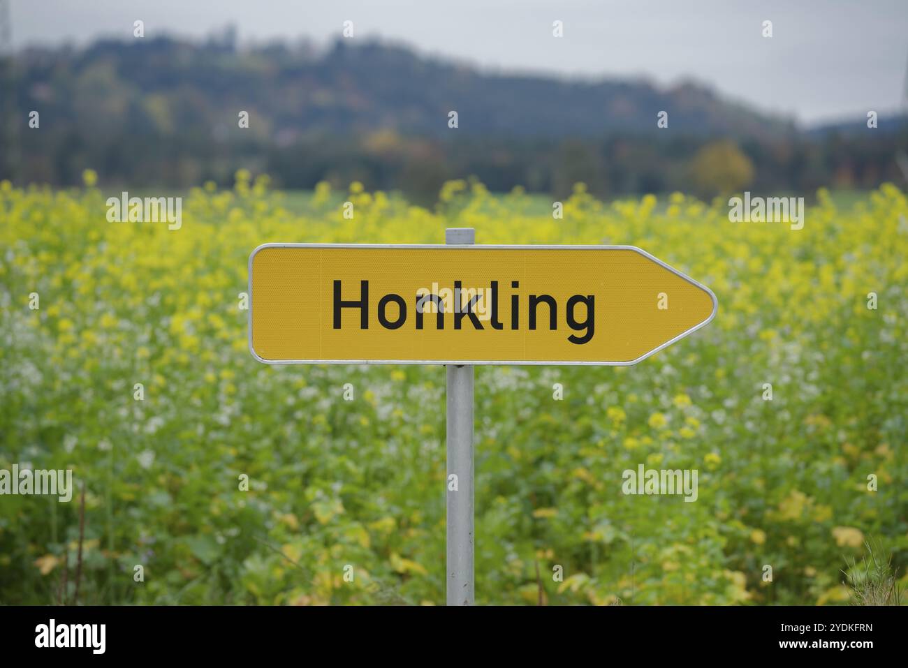 Town sign of Honkling, Gschwend, Gschwend-Honkling, district border ...