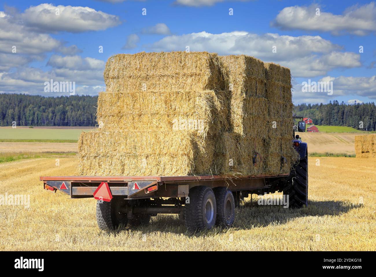 Transporting straw bales with tractor and agricultural trailer from ...