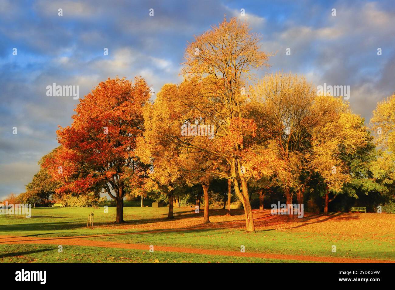 Fall color 2020 hi-res stock photography and images - Alamy