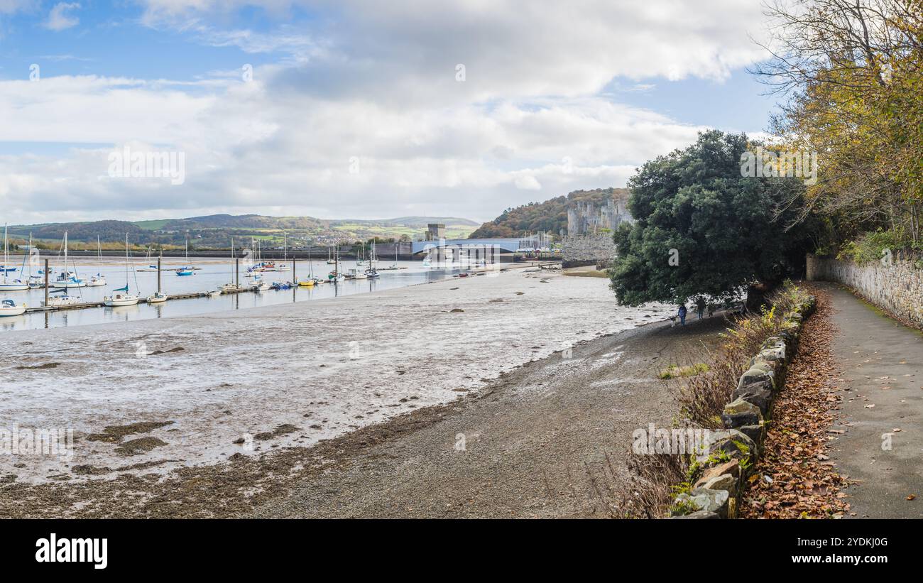 Autumn along Marine Walk facing Conwy Castle and Conwy Suspension ...