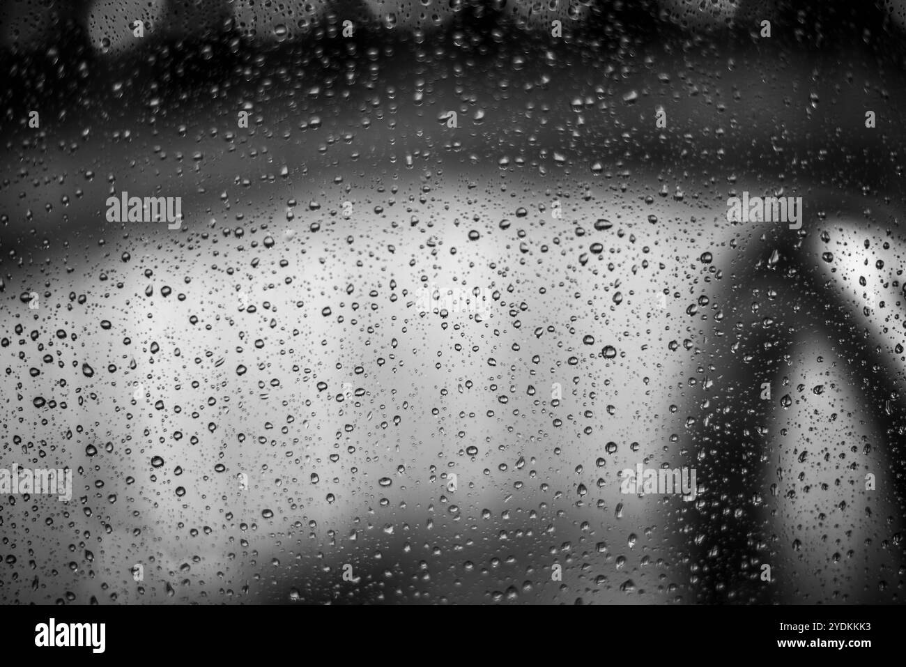 close up of raindrops inside a glass in black and white with background ...